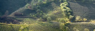 What Is Slope Stability and Why Does it Matter | MFS Engineering