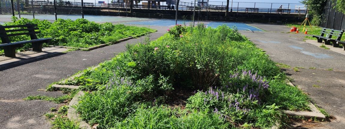 Brighton Beach Playground | MFS Engineering